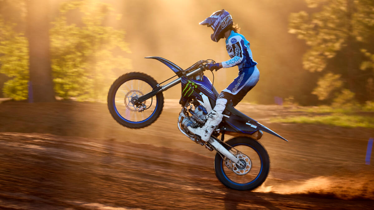 YAMAHA YZ250F Monster Energy Yamaha Racing Edition - Motokomplex